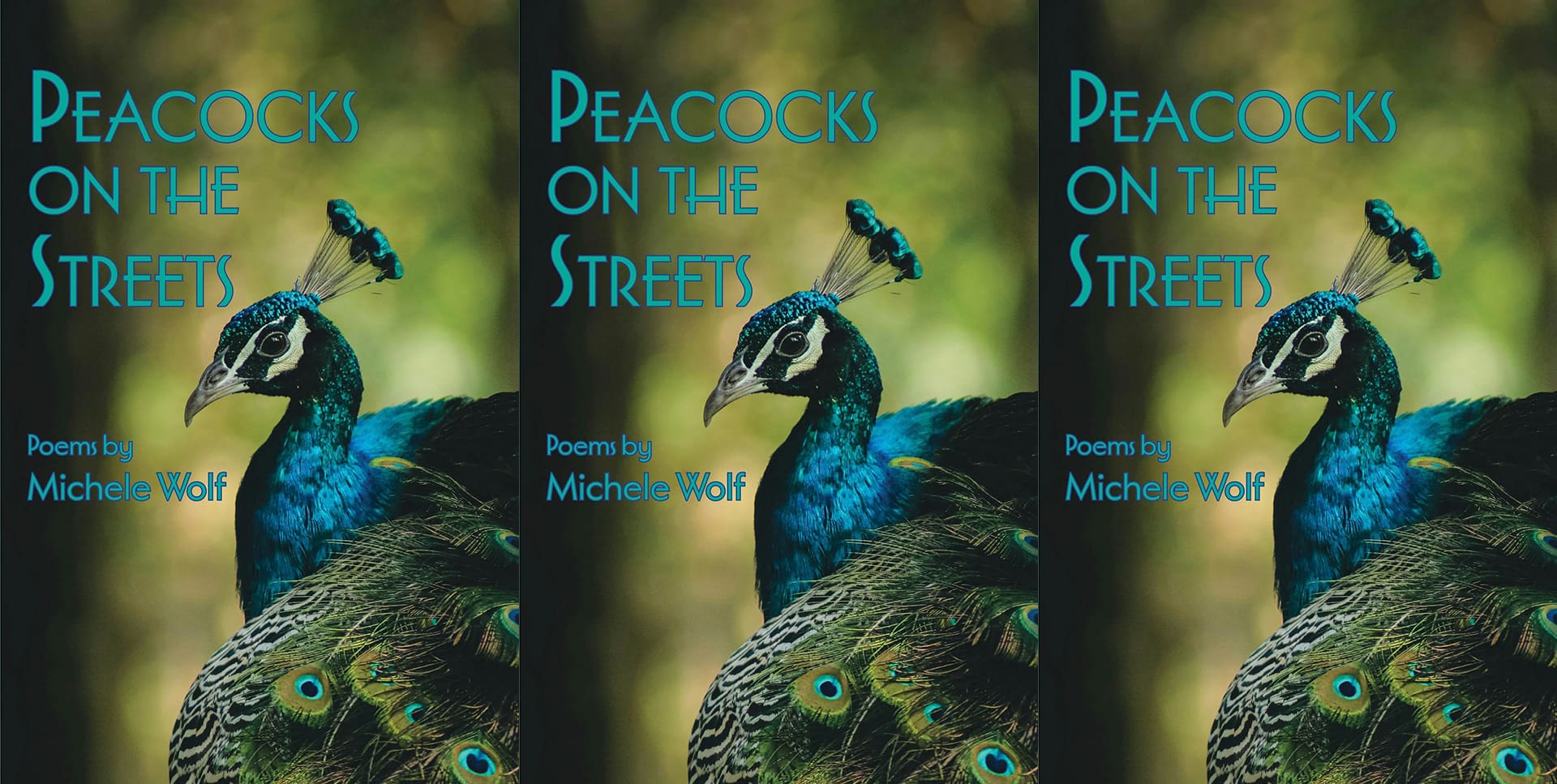 Poet Michele Wolf Book Release w/ Margaret McCarthy - The Writer's Center